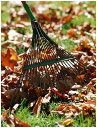 City Of Fond du Lac Leaf Collection Dates Announced - KFIZ News-Talk ...